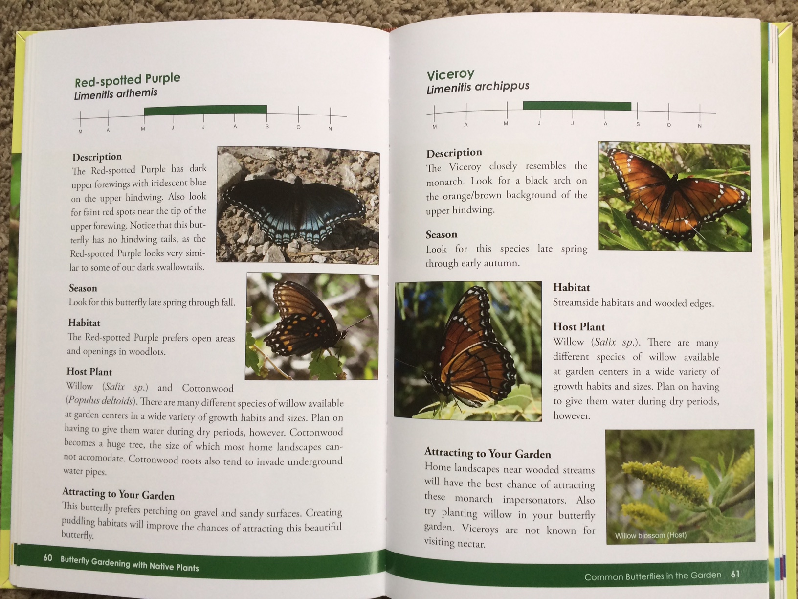 BUGGY BOOK REVIEW: “Butterfly Gardening with Native Plants” by ...