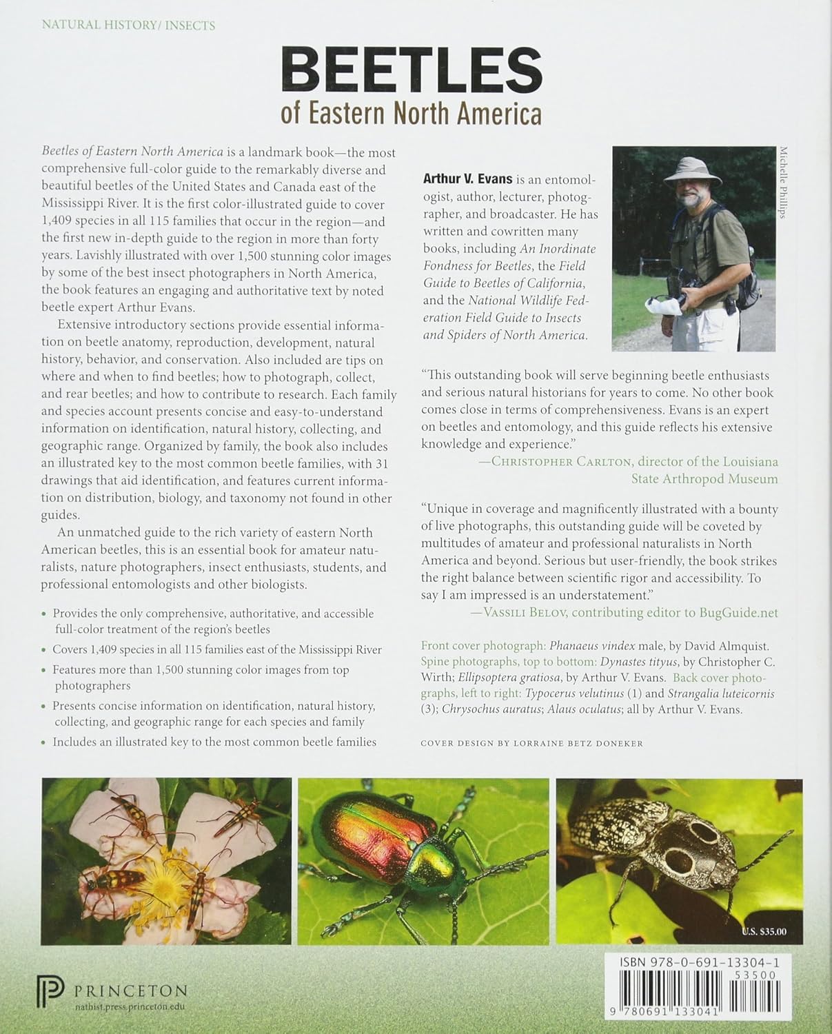 A Must-Have for Beetle Enthusiasts: A Review of Beetles of Eastern ...